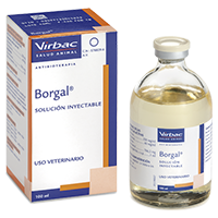 Borgal
