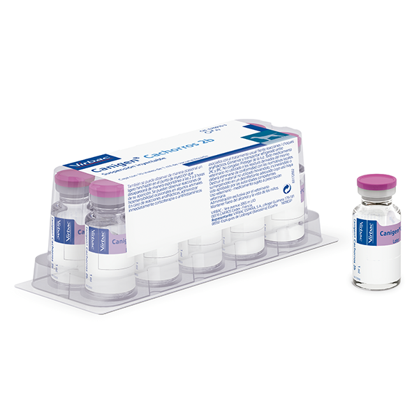 Canigen Cachorros 2B